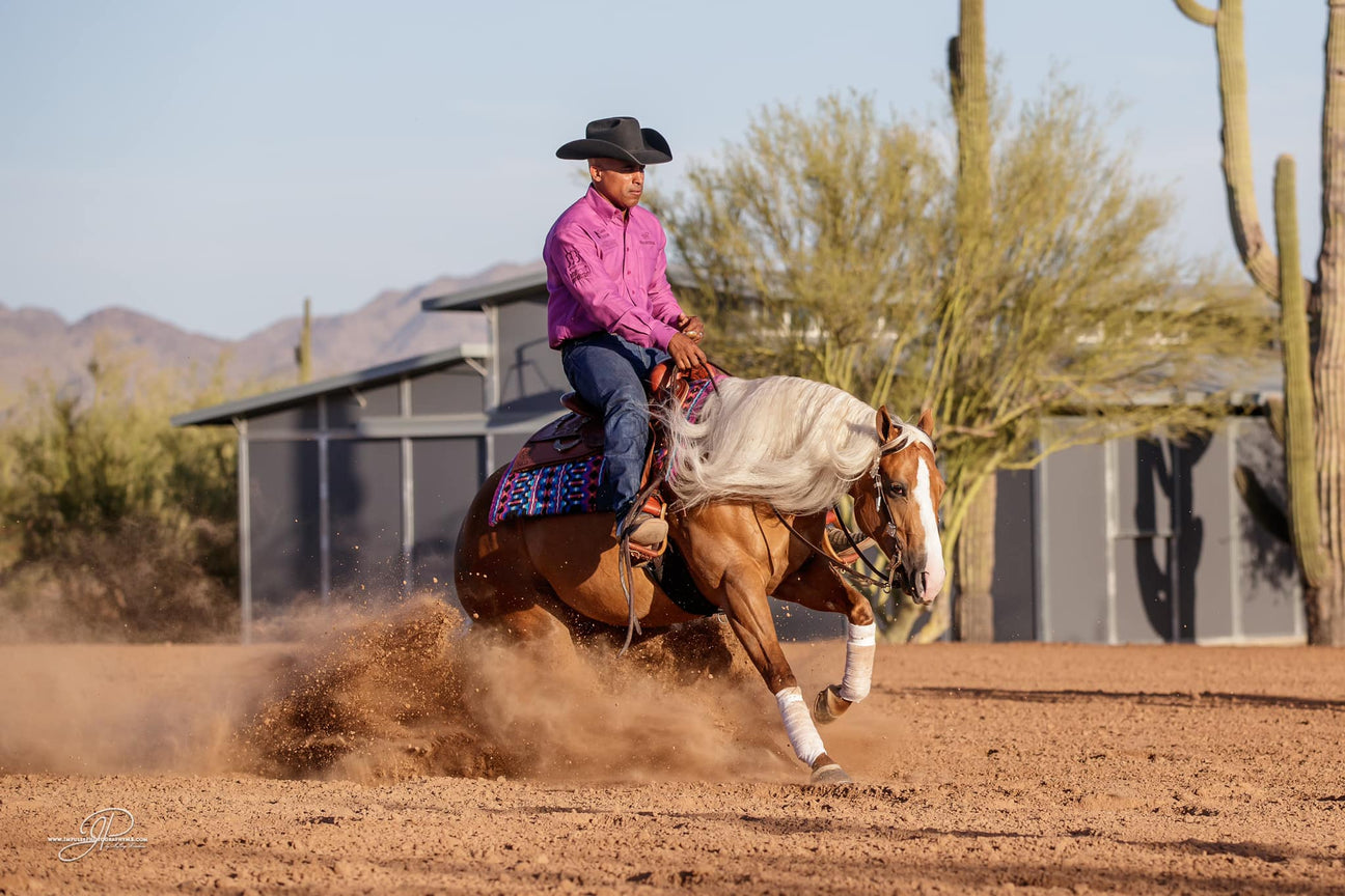 Matt Mills Reining Shop